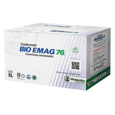 SOLUCIONES - Fragaria